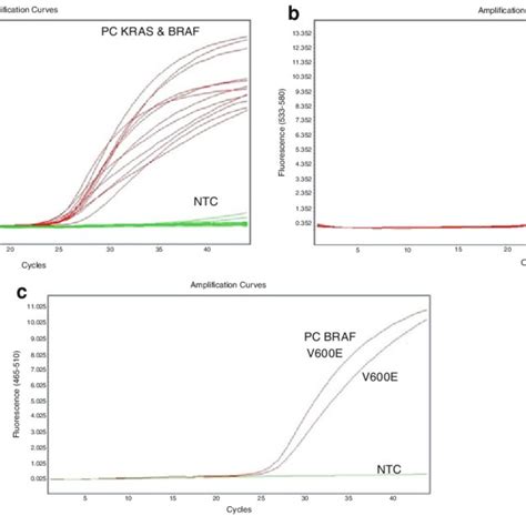 Kras And Braf V600e Mutation Analysis One Step Analysis With 11 Probes