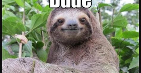 Mrw My Friends Ask Me Whats Wrong Imgur