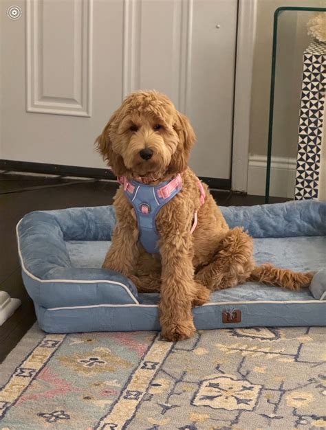 Prime Time Preppy Empty Nester F