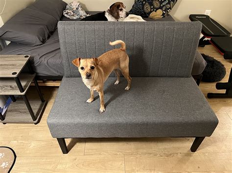 22 Mo Finance Sthouyn 43 W Mini Small Comfy Couch Armless Loveseat