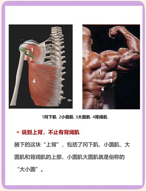 女生背部训练全攻略：打造完美背部线条