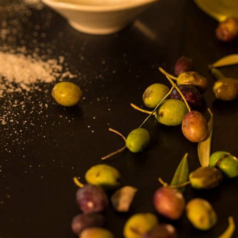 The Olive Fly Olio Farchioni