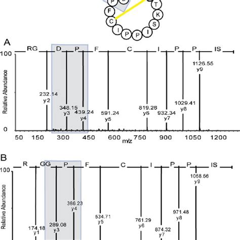 Lc Msms Spectra For Tryptic Fragments Of Sfti Peptides The Backbone