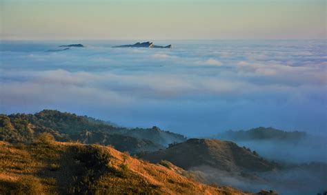 National Parks Of Georgia საქართველოს ეროვნული პარკები Home