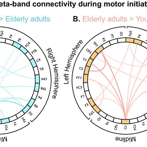 Between Subject Analysis Of The Theta Band Functional Connectivity Download Scientific Diagram