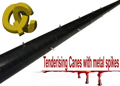 Spiked Tenderising Synthetic Cane 10mm Quality Control