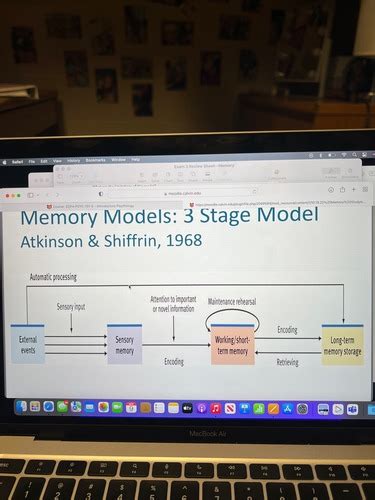 Psych Test 3 Flashcards Quizlet