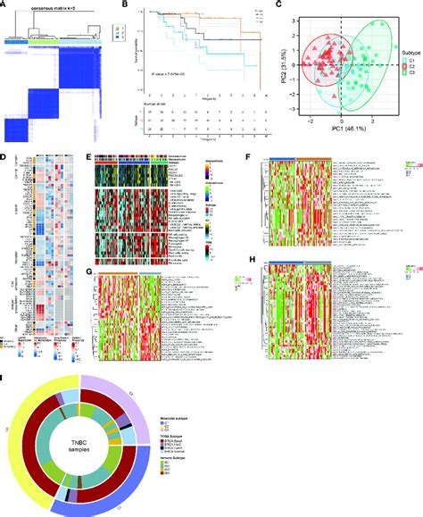 Definition Of Ferroptosis Classification With Unique Immunological Download Scientific Diagram