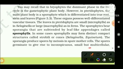 Pteridophyta Reading Ncert Reading Youtube