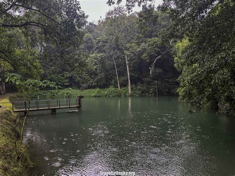 Wawakale Lake Walapane Travel Sri Lanka