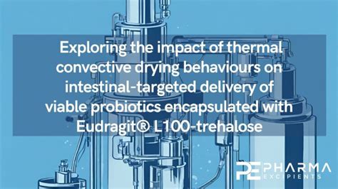 Exploring The Impact Of Thermal Convective Drying Behaviours On