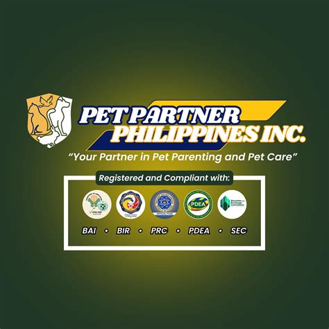 The Cat Levi Is Confined At The Cat Clinic And Knocking On Your