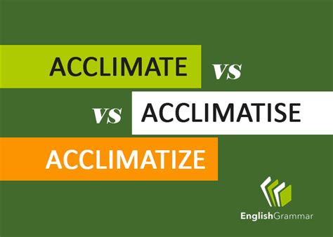 Acclimate Vs Acclimatise Vs Acclimatize