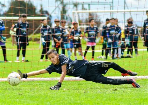 Why Quick Reflexes And Fast Reaction Times Matter How To Improve