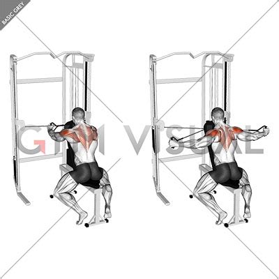 Machine Rear Delt Fly