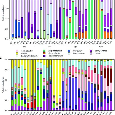Taxonomic Composition Of Phyllosphere Microbial Community At The Genus