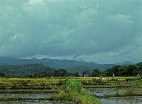 Ripal Ripal Hidayat • Instagram Photos And Videos