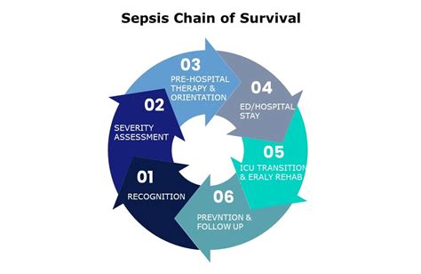 Sepsis Chain Of Survival Sepsis Program Optimization