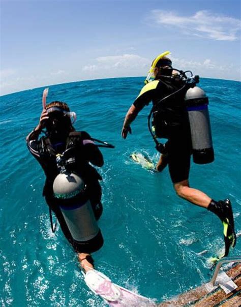 Buzos De Playa Del Carmen Salvan Su Negocio Con Cenotes Y Tiburón Toro Ante La Baja Afluencia