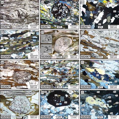 Photomicrographs Of Microstructures Observed In Thin Sections