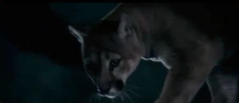 Categoryvillains Flicka The Movie Wiki Fandom