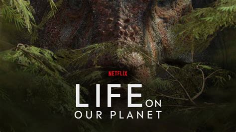 Researchers Knowledge Called Upon For New Netflix Series Life On Our