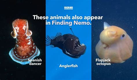 How Accurate Is Finding Nemo Ocean Generation
