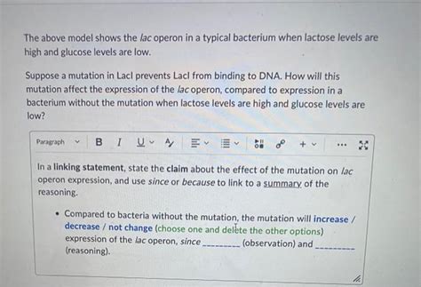 Solved The Above Model Shows The Lac Operon In A Typical