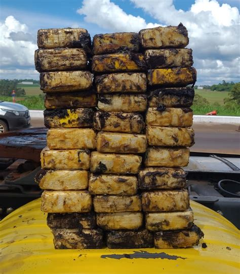 Cão Logan Da Polícia Penal Encontra Entorpecentes Escondidos Em Partes Mecânicas De Carreta Em