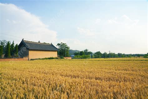 Photographic Map Of Crop And Wheat Field Background Crops Wheat