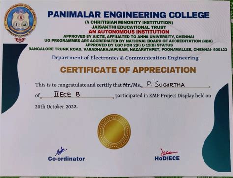Sugirtha P On Linkedin Emf Project Display