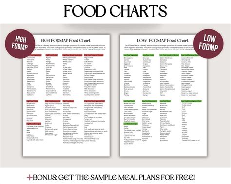 Fodmap Diet And Editable Grocery List Printable Pdf Low Fodmap Food Chart Low Fodmap Diet Plan