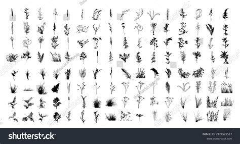 Big Set Grass Flowers Tracing Wild Stock Vector Royalty Free