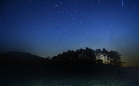 배경 화면 나무 밤 잔디 하늘 별 월광 분위기 황혼 천문학 오로라 아름다운 새벽 어둠 대기 현상 천체 1920x1200 Wallup
