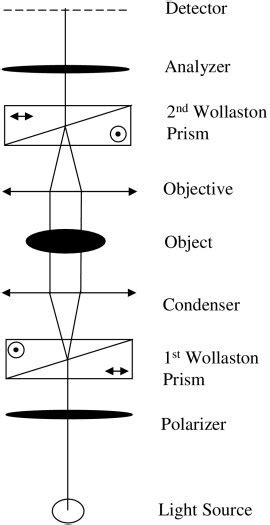 Diagram Of Principal Components Of Dic Microscope Download
