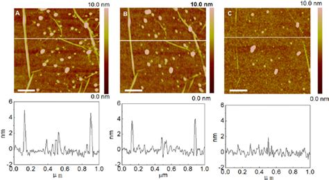 Afm Images And Cross Sections Of Single Layer Graphene Before A And