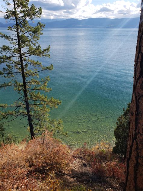 Renter Of The Week Barb Nangle