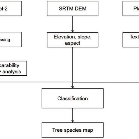 Flowchart Of The Tree Species Classification Procedure Download Scientific Diagram