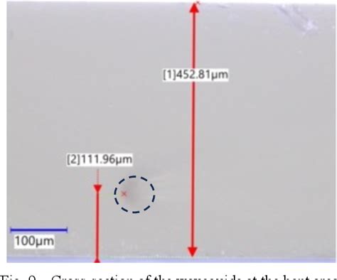 Figure 1 From Polymer Optical Waveguide Coupler With Vertically Bent