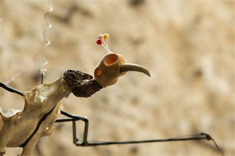 Timo Schulz Fachhochschule Kiel