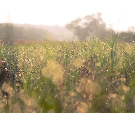 Temby William David Bill Death Notices Adelaide My Tributes