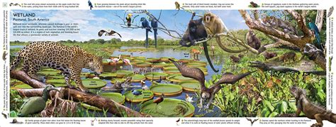 Buy Habitats Of The World A Breathtaking Visual Journey Through Earth