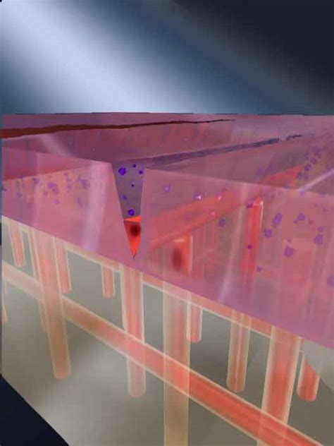 Autonomous Materials Systems μvac Self Healing Materials With Microvascular Networks