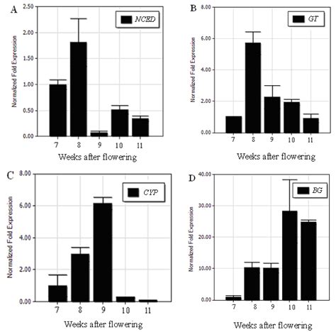 Real Time Quantitative Reverse Transcriptase Polymerase Chain Reaction