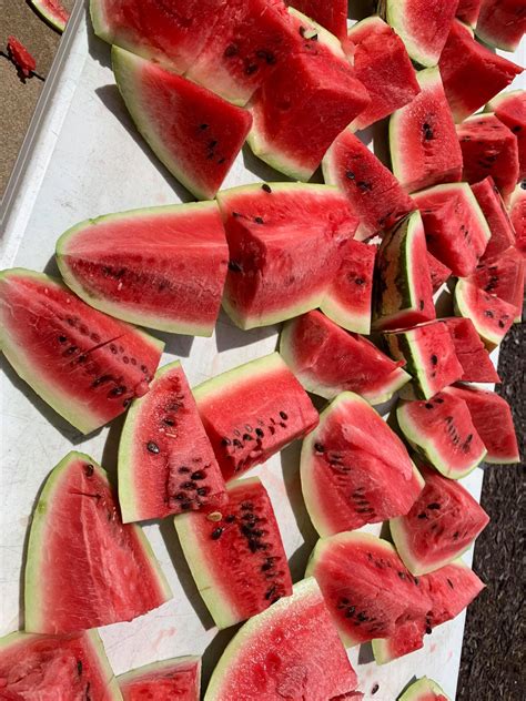Hope Arkansas Watermelons Hope Ar