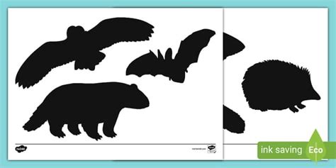 Nocturnal Animals Shadow Puppets Cut Outs