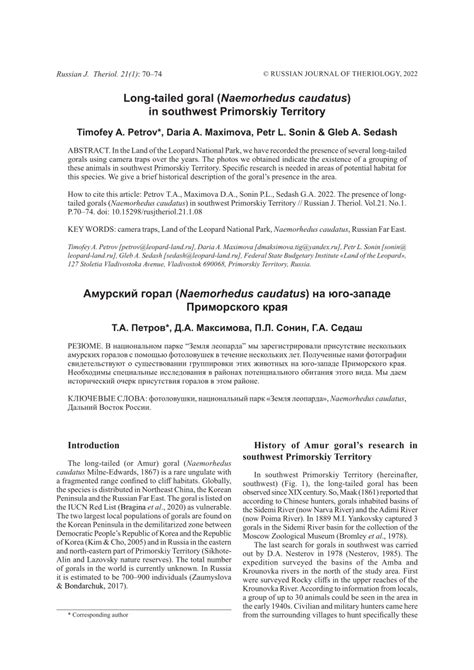 Pdf Long Tailed Goral Naemorhedus Caudatus In Southwest Primorskiy