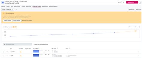Anomaly Detection In Catalog Items Ataccama One