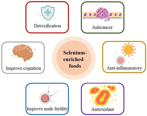 Research Progress Of Selenium Enriched Foods