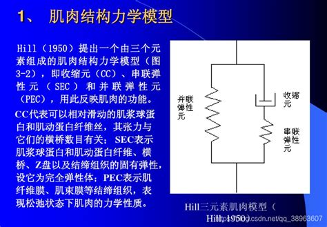opensim使用过程问题汇总（1） opensim模型不全 csdn博客